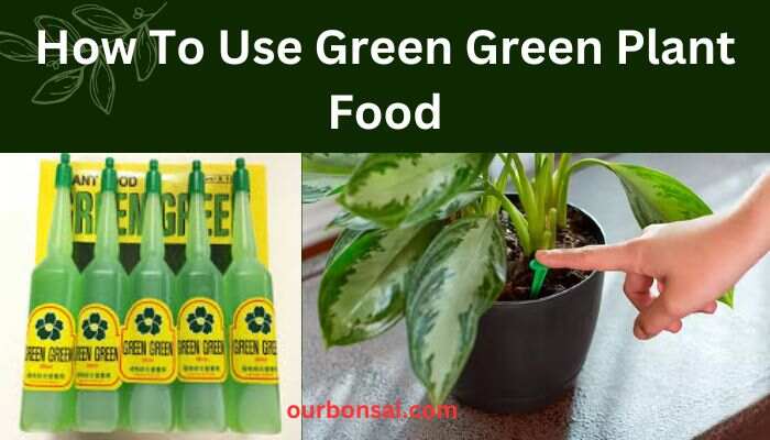 How To Use Green Green Plant Food? | Plant Food Best Tips 2025