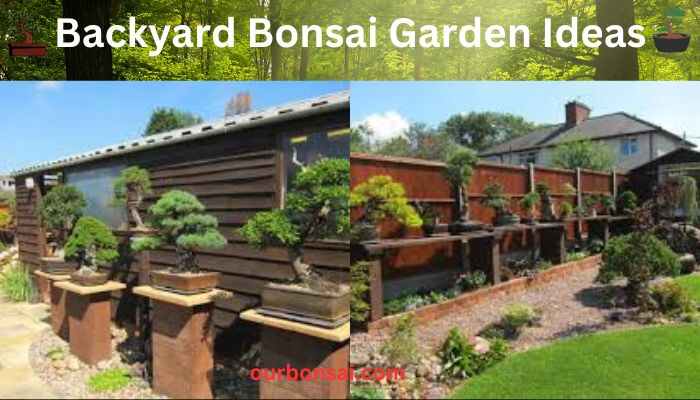 Backyard Bonsai Garden Ideas, Best Guide For Beginner 2025
